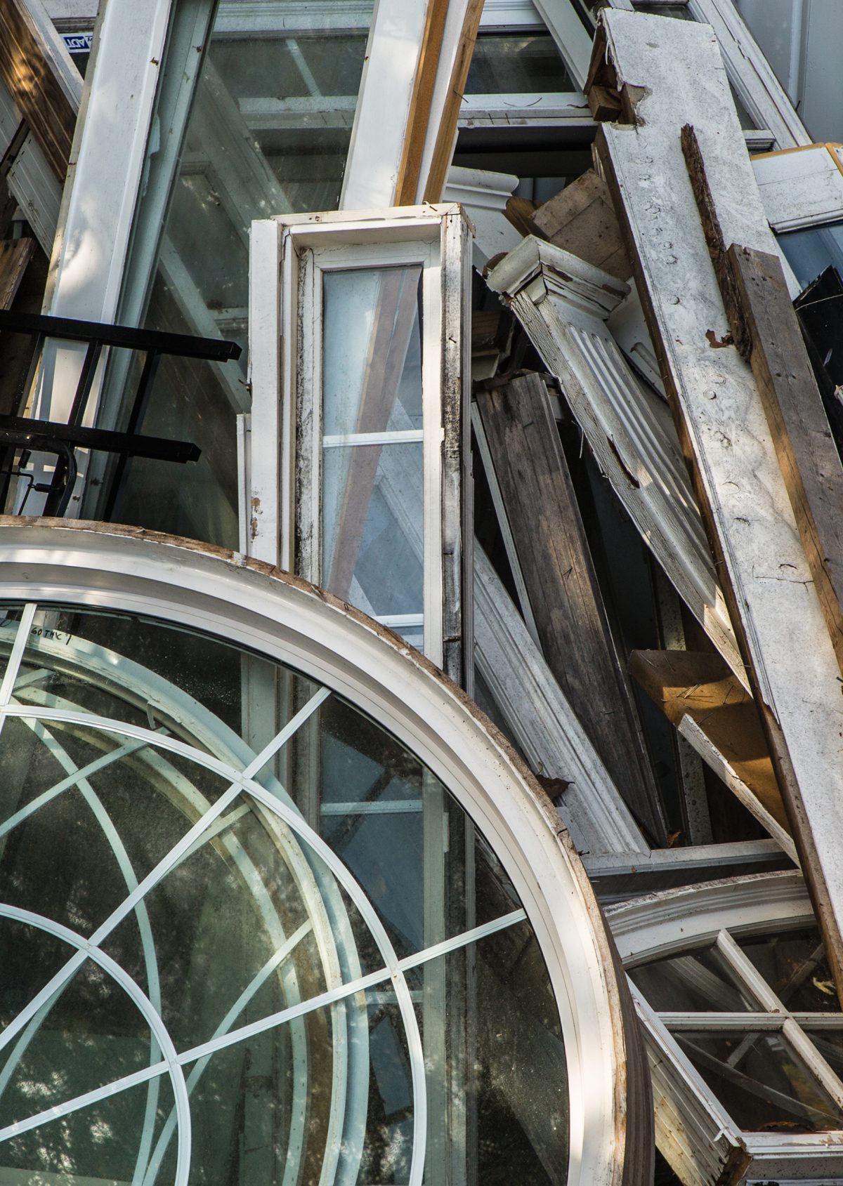 November 2023 Winners (Windows) – Cobb Photographic Society