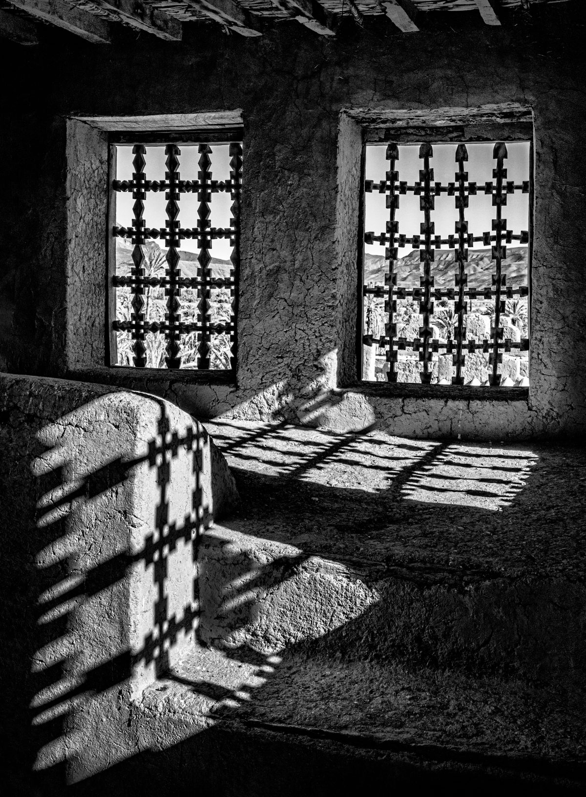 November 2023 Winners (Windows) – Cobb Photographic Society