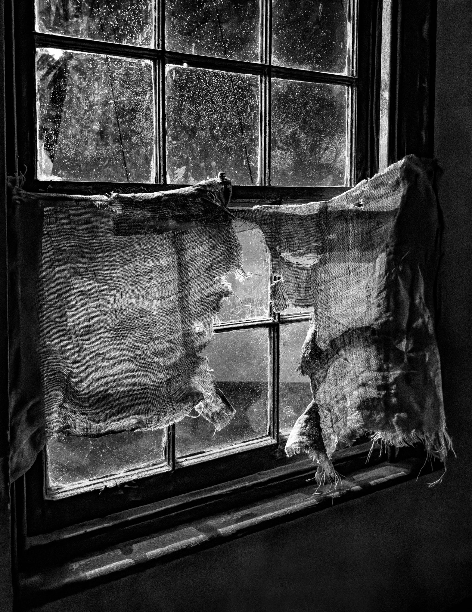 November 2023 Winners (Windows) – Cobb Photographic Society