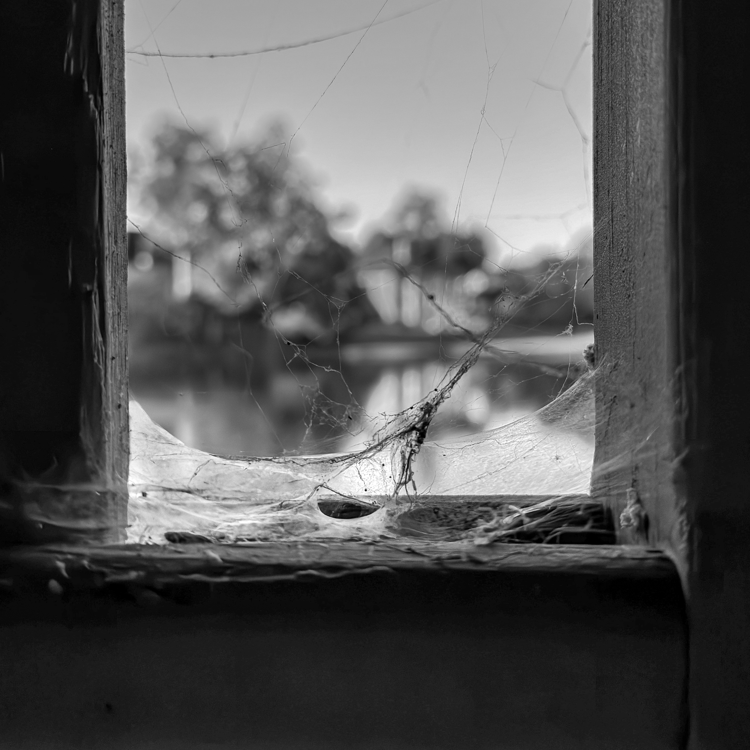 November 2023 Winners (Windows) – Cobb Photographic Society