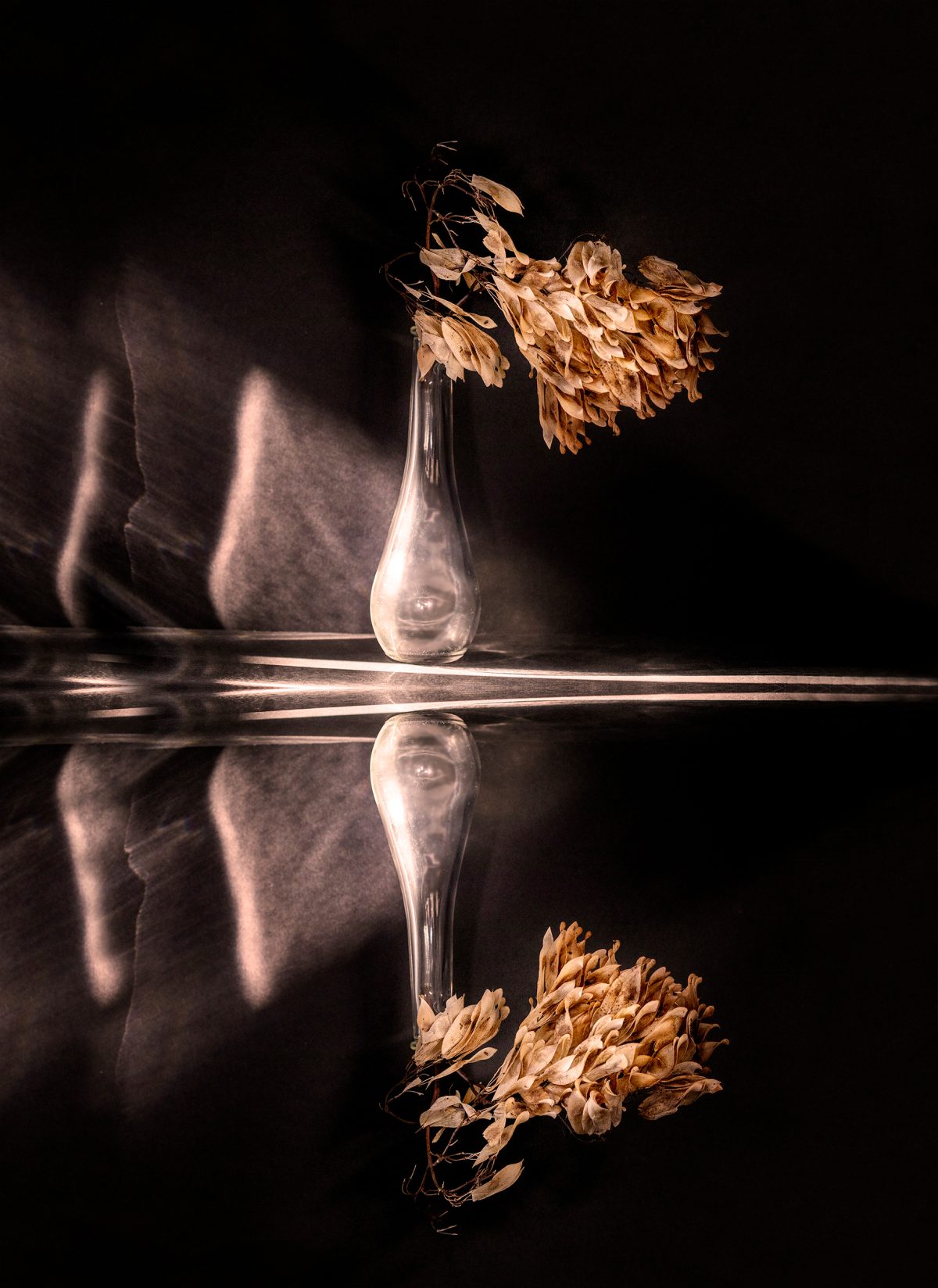 May 2022 – Lighting – Cobb Photographic Society