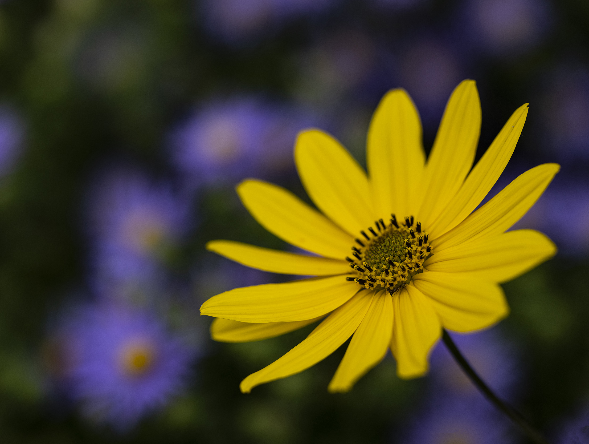 March 2022 – Bokeh – Cobb Photographic Society