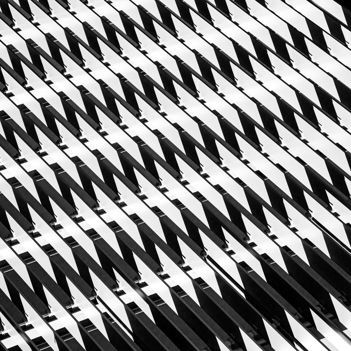 June 2023 – Patterns – Cobb Photographic Society