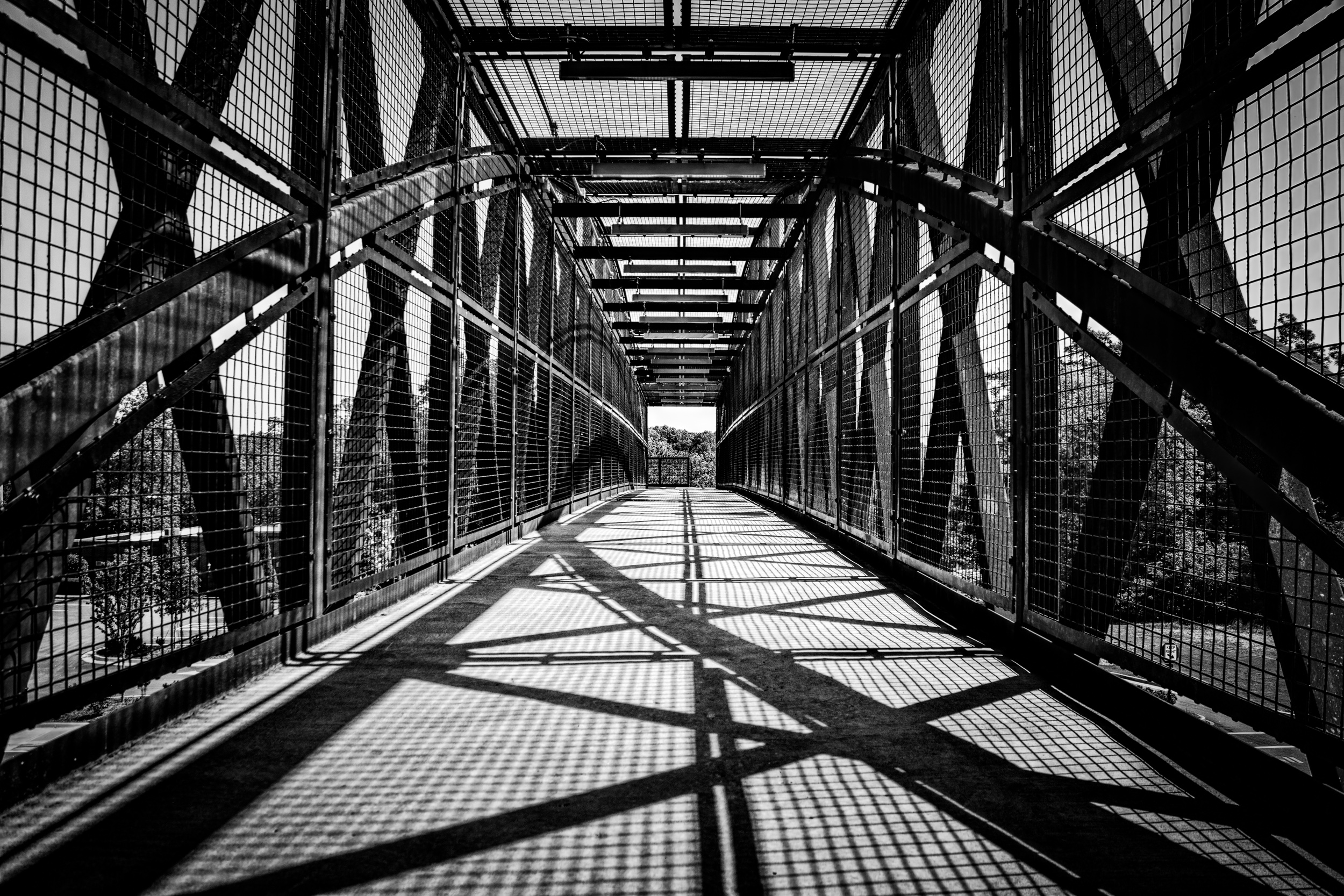 May 2022 – Lighting – Cobb Photographic Society