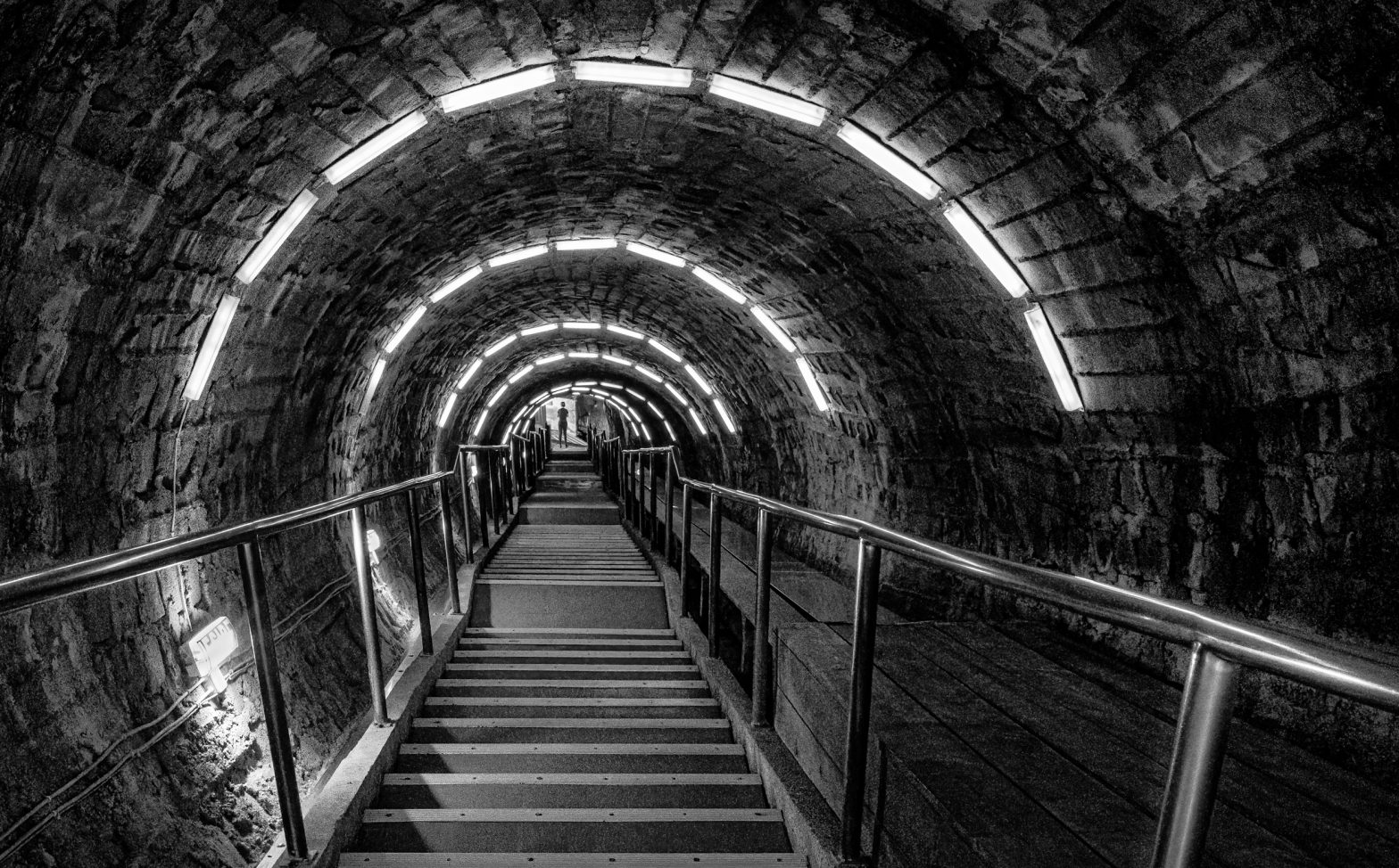 February 2022 – Curves – Cobb Photographic Society