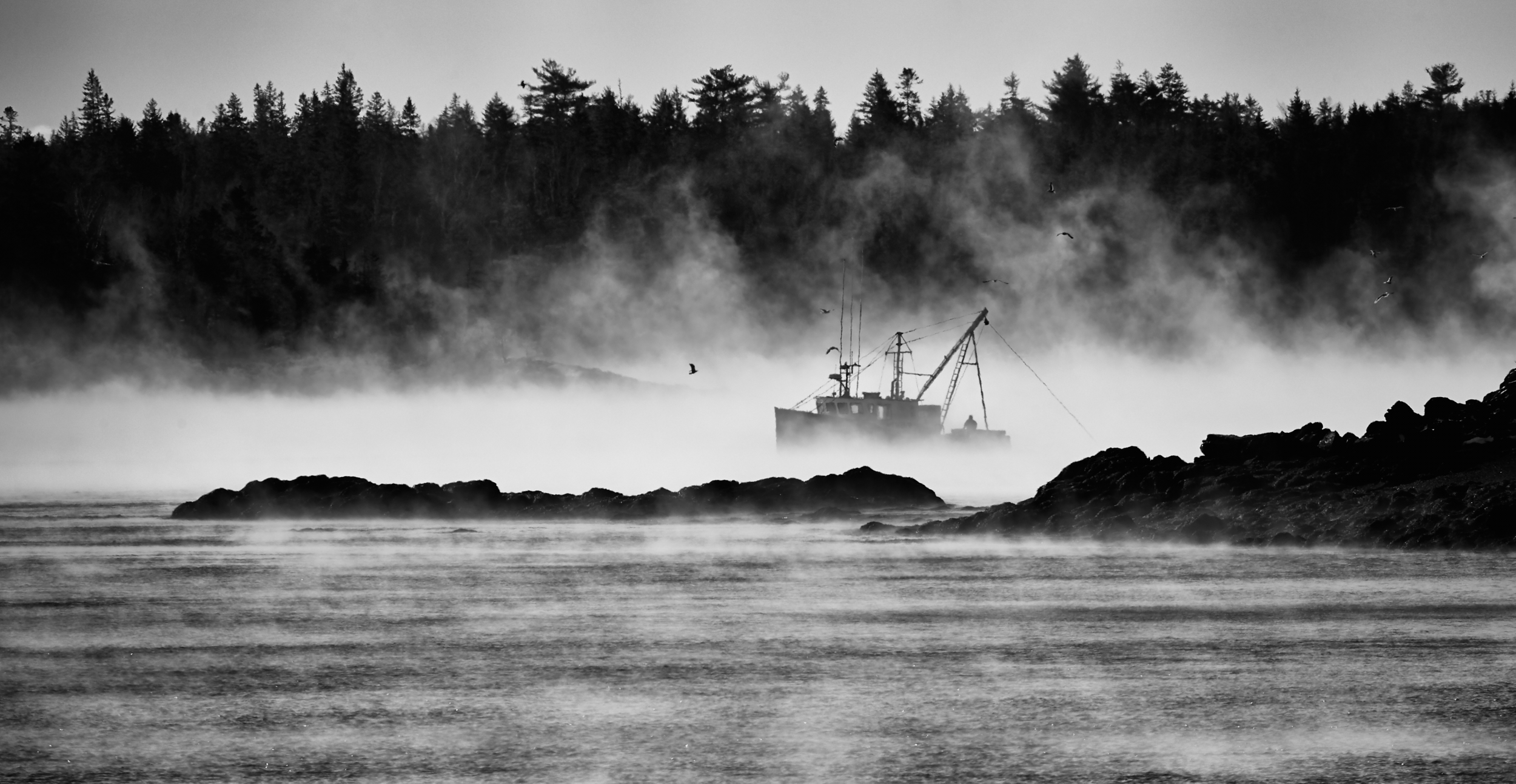 January 2022 – General (vintage) – Cobb Photographic Society