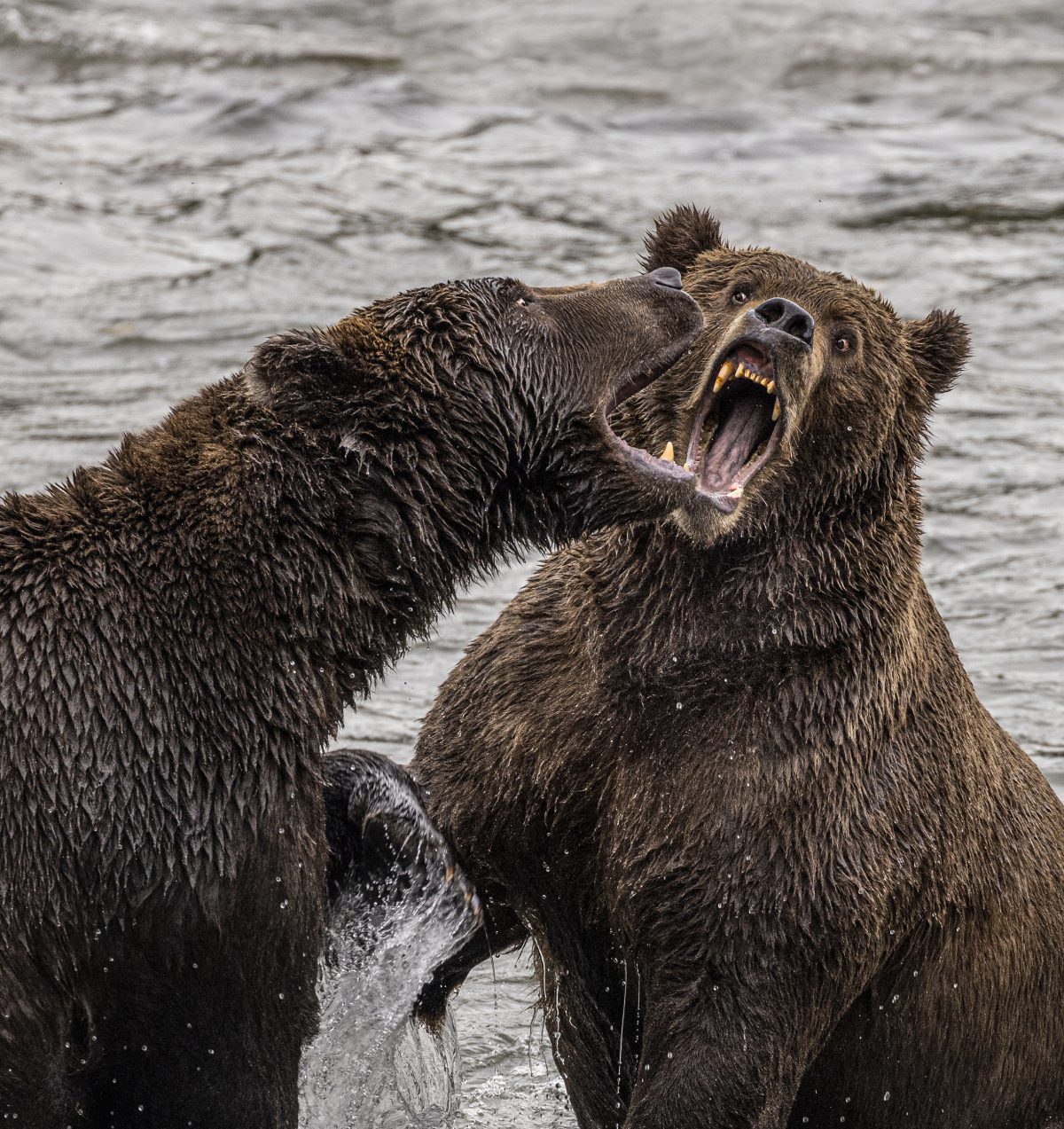 January 2024 – General (Vintage) – Cobb Photographic Society