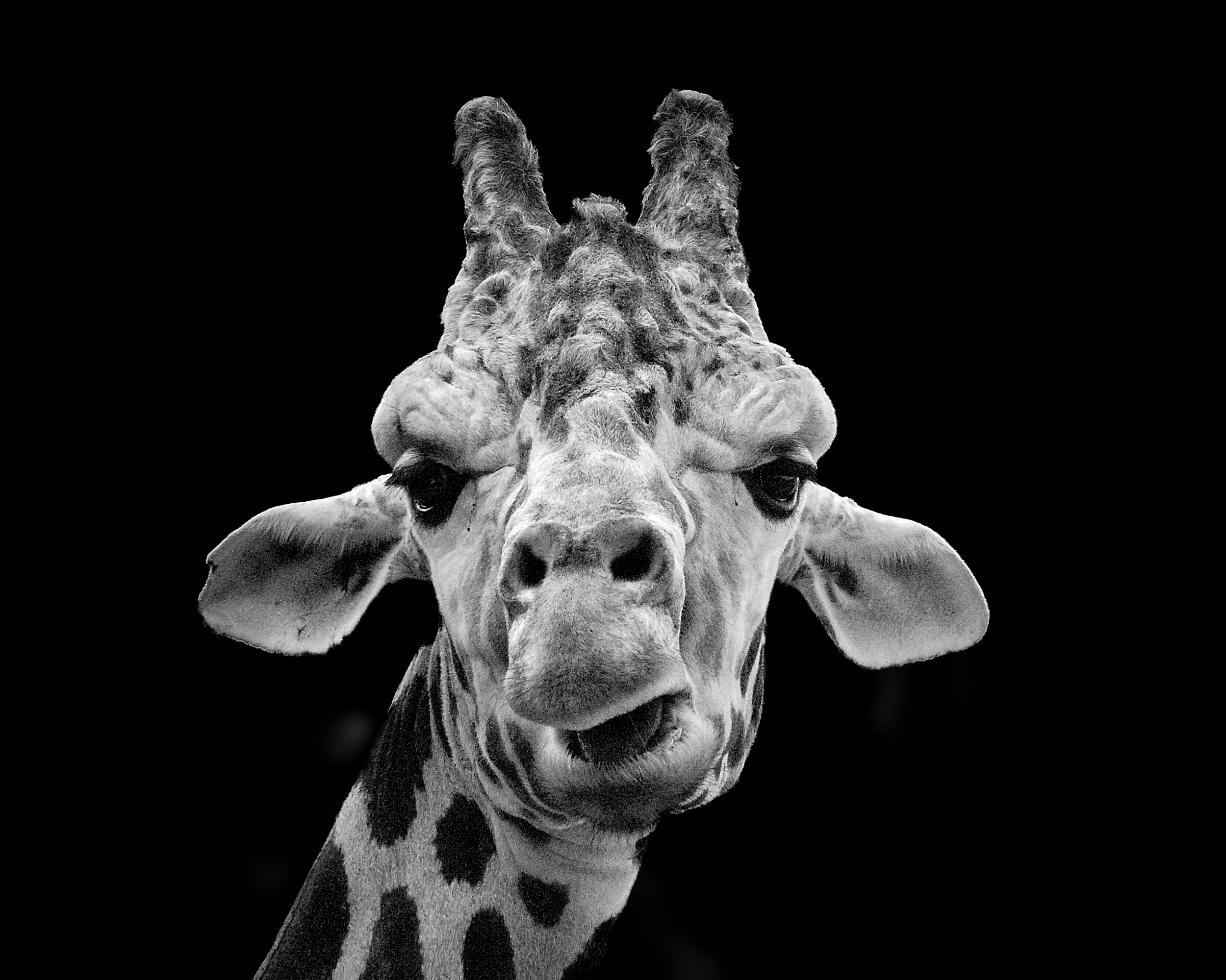 January 2024 – General (Vintage) – Cobb Photographic Society