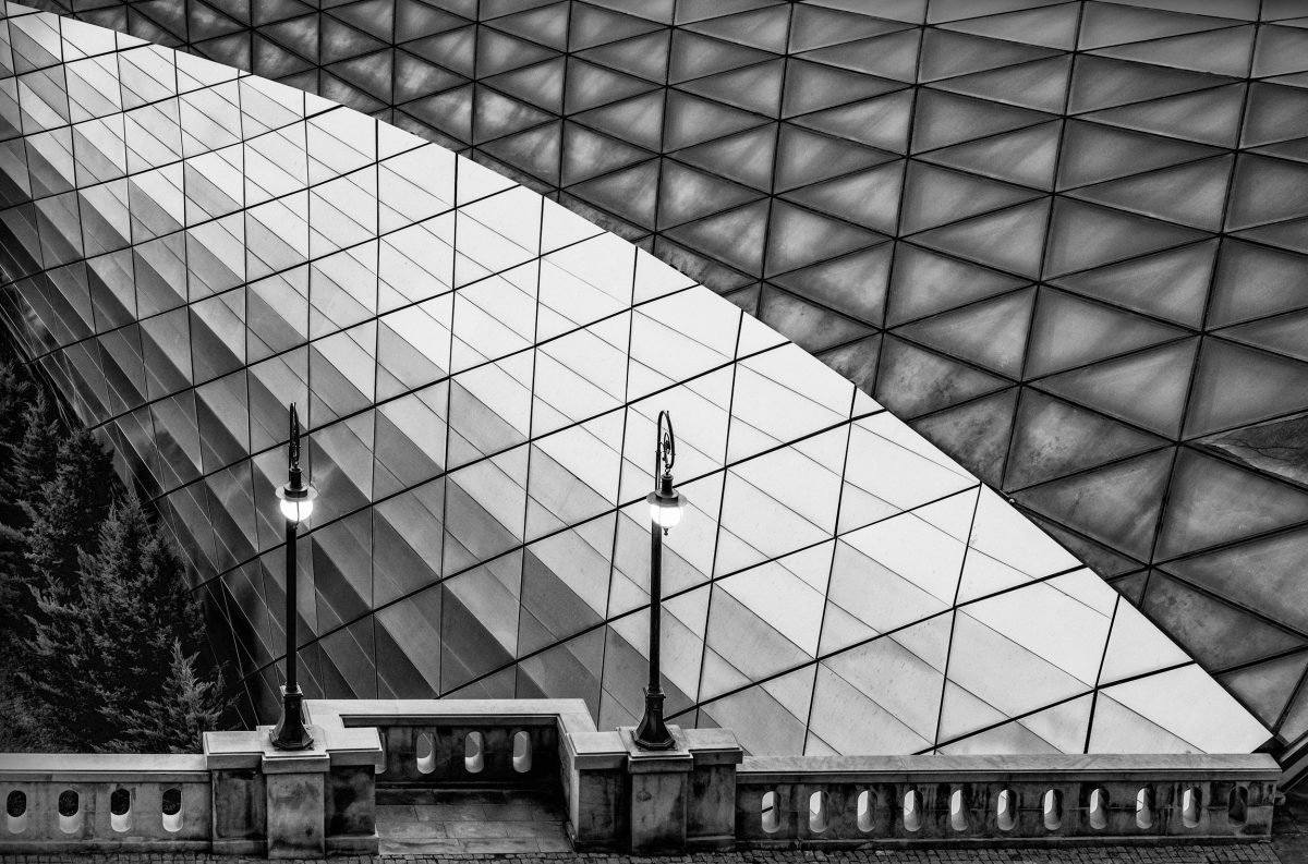 June 2023 – Patterns – Cobb Photographic Society