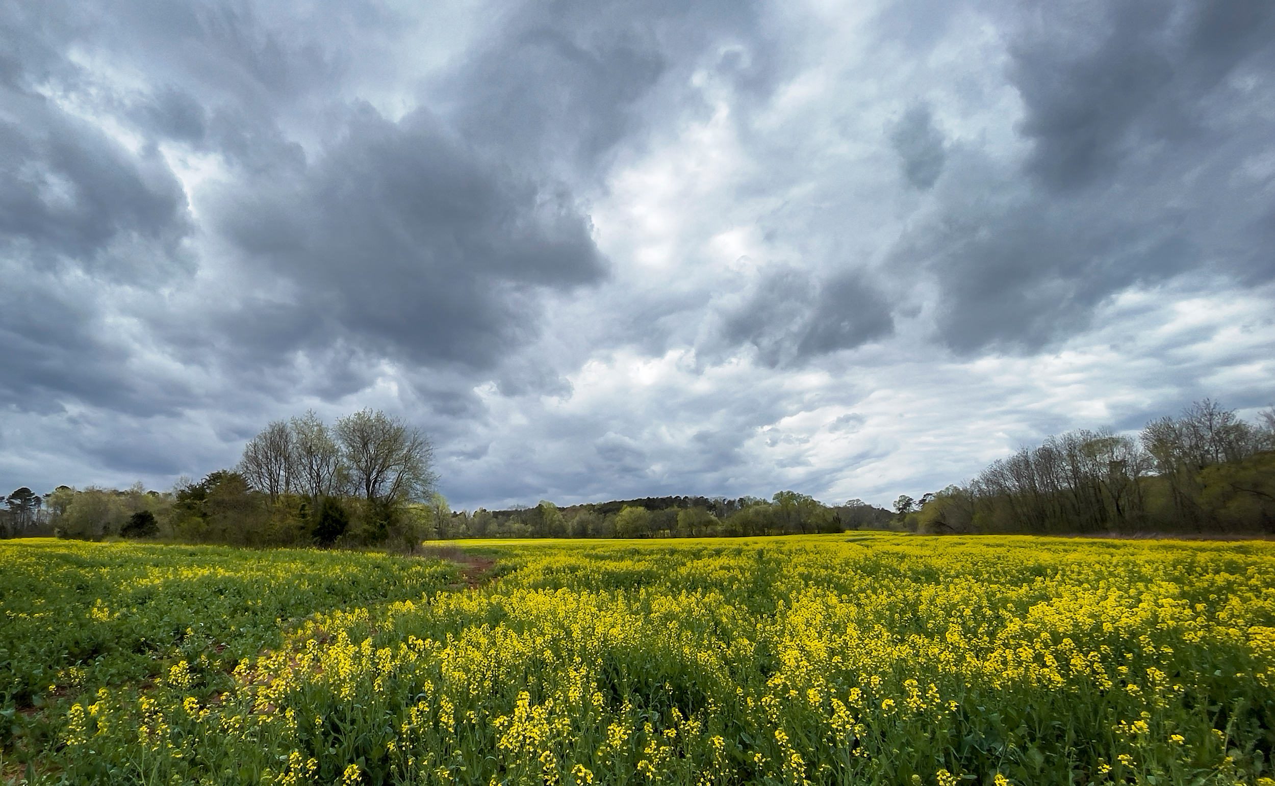 September 2022 – Camera Phone – Cobb Photographic Society
