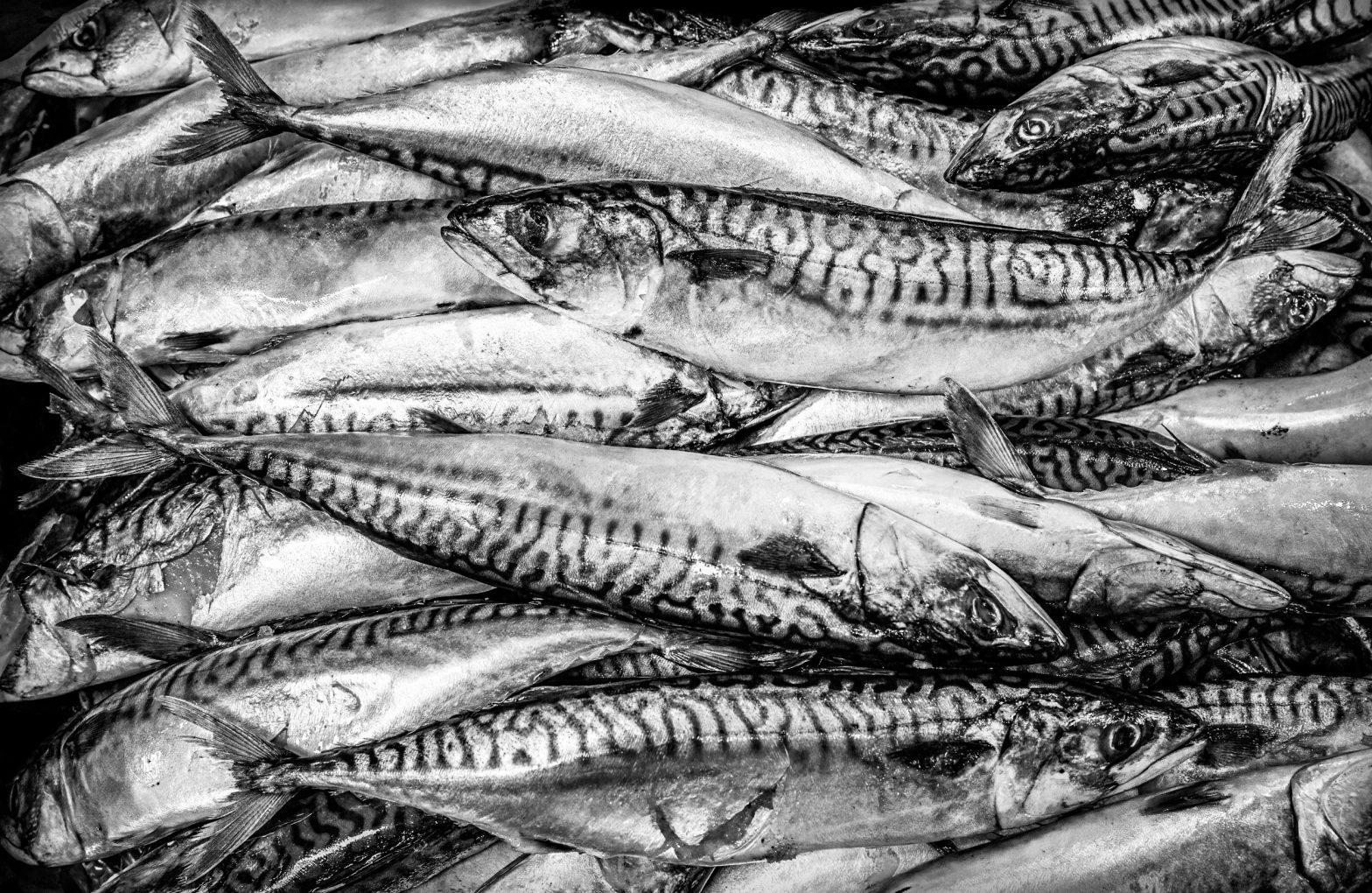 October 2022 – Food – Cobb Photographic Society