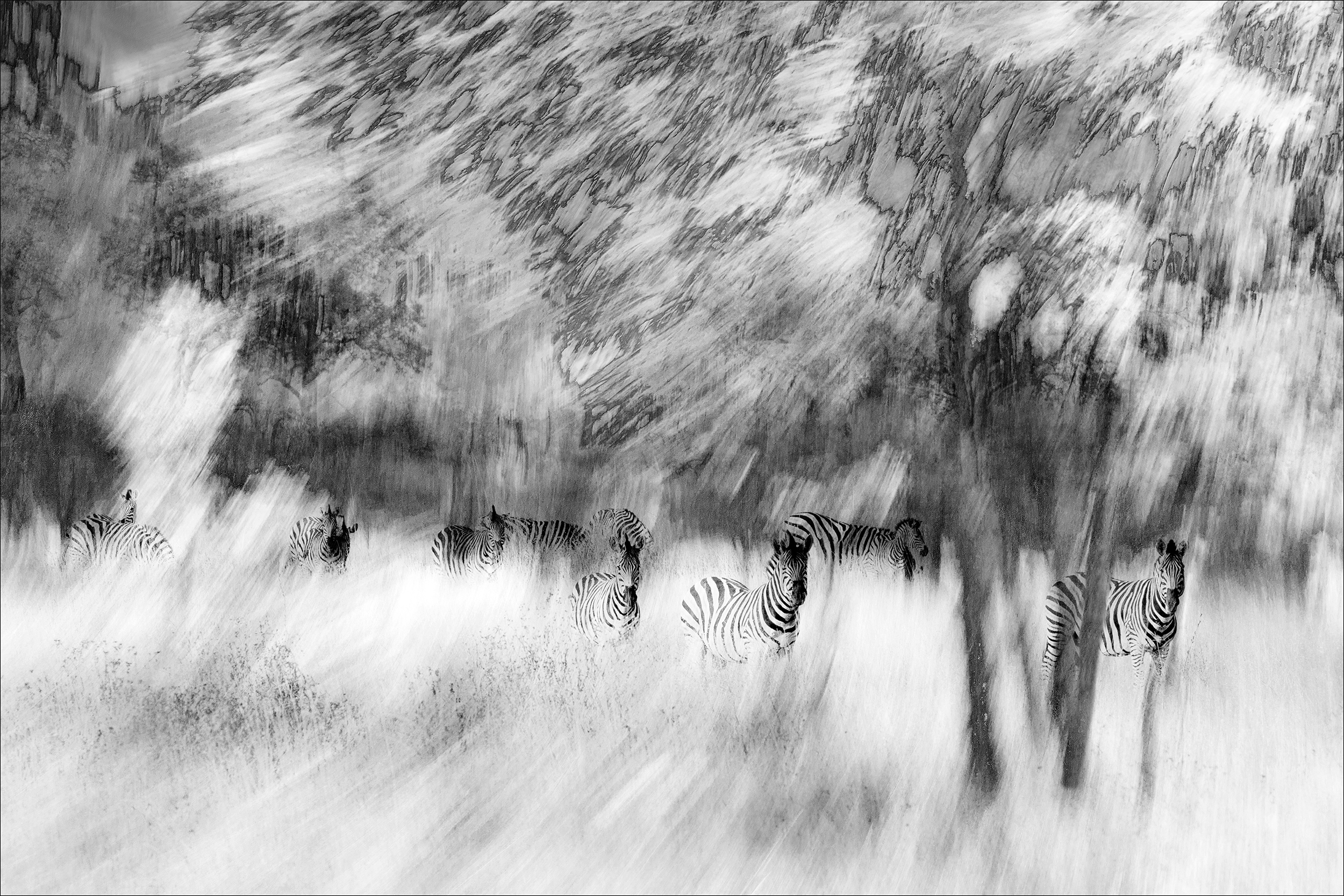 November 2022 – Juxtipostion – Cobb Photographic Society