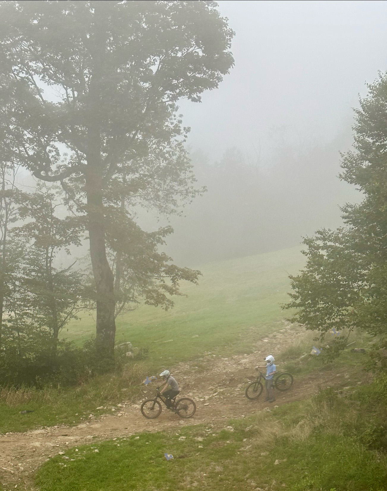 June 2024 – Fog/Mist – Cobb Photographic Society