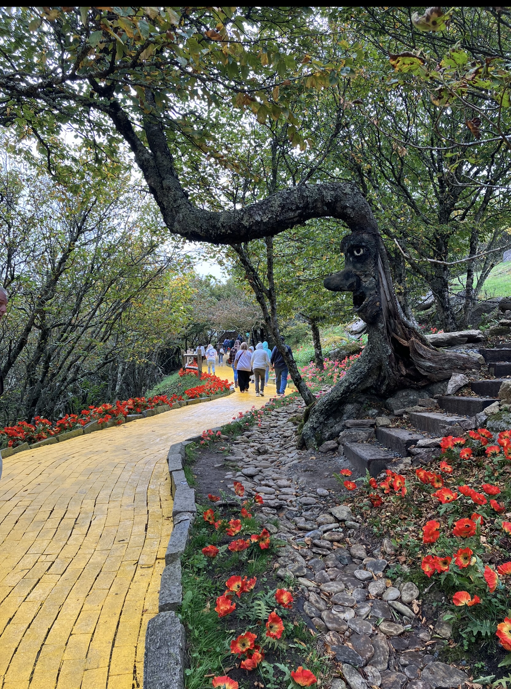 July 2024 – Roads/Path – Cobb Photographic Society