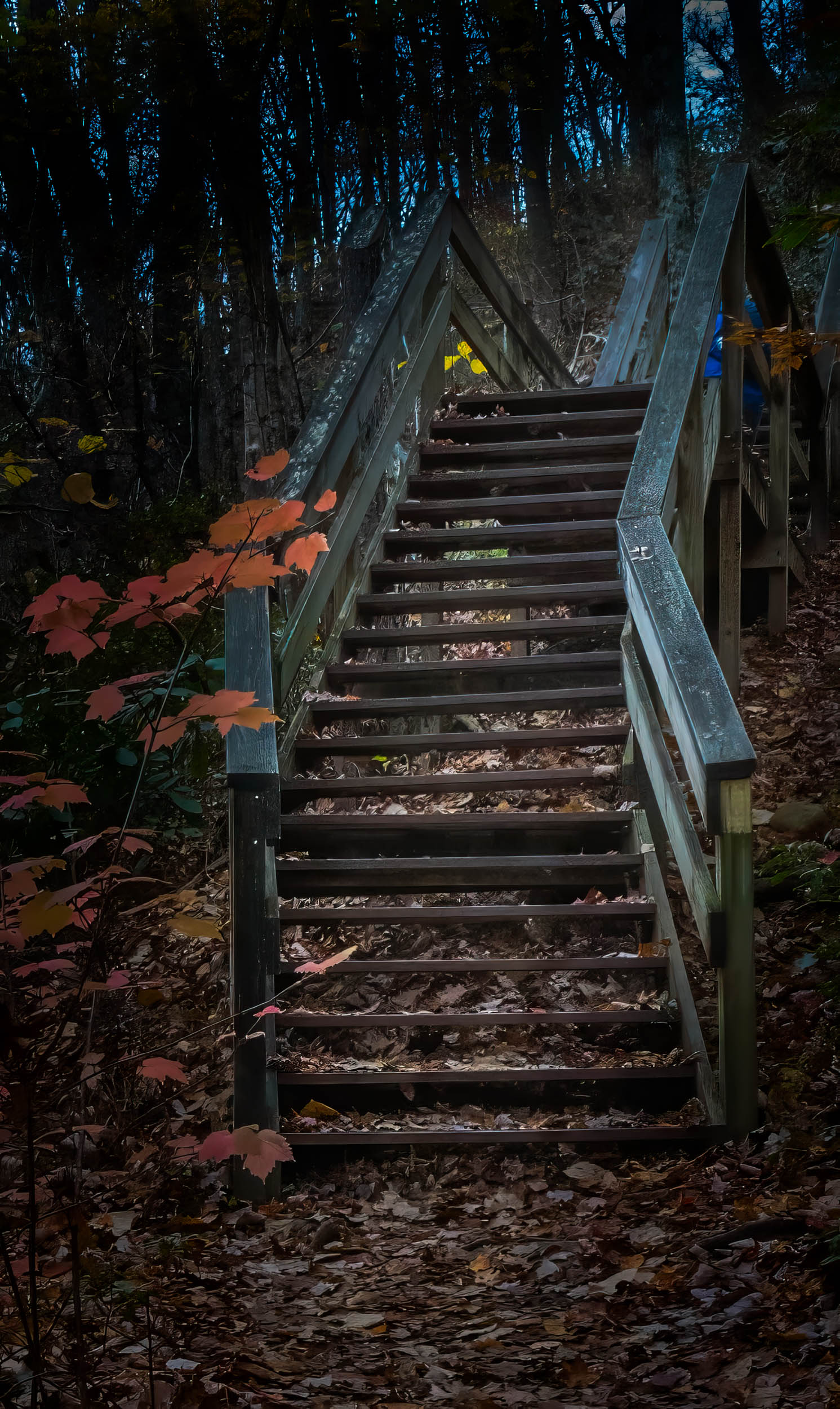 July 2024 – Roads/Path – Cobb Photographic Society