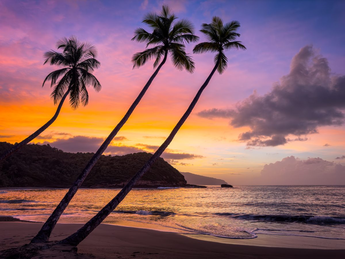 September 2024 – Backlight – Cobb Photographic Society