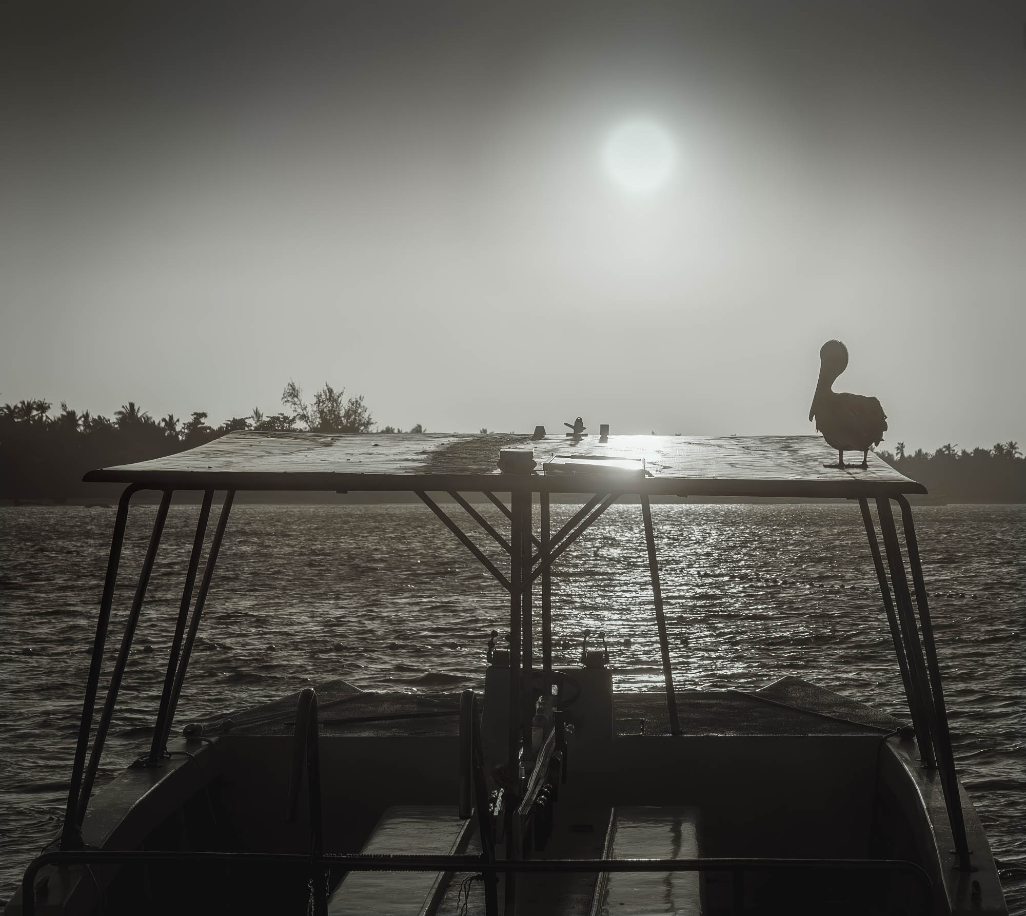 October 2024 – Solitude – Cobb Photographic Society