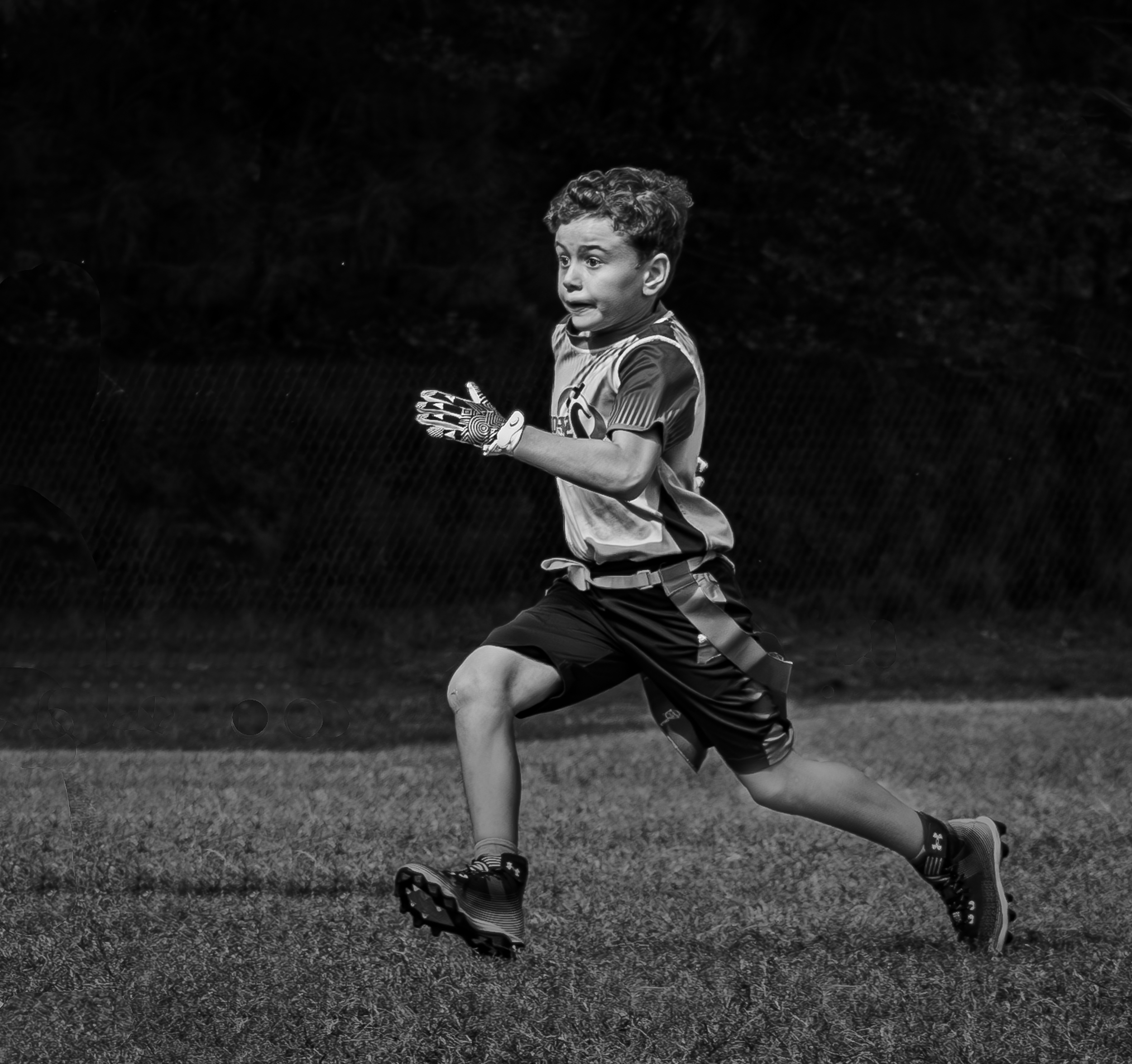 November 2024 – High Speed/Motion – Cobb Photographic Society