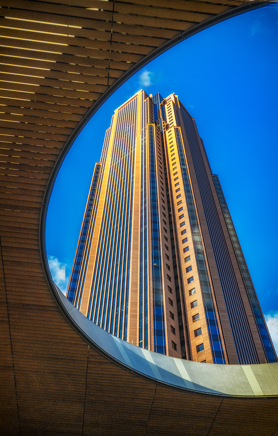 February 2026 – Metro Atlanta – Cobb Photographic Society